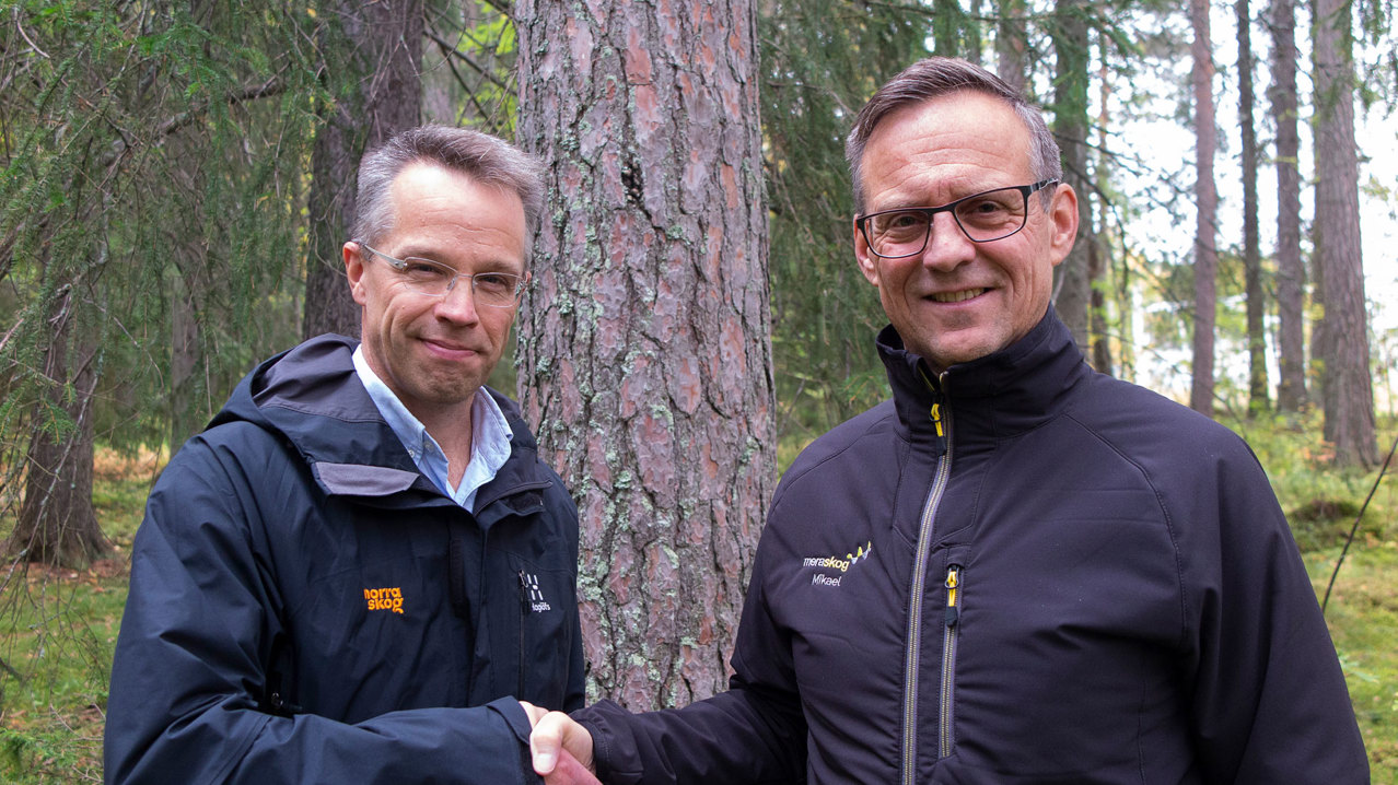 Meraskog går samman med Norra Skog - Norra Skog